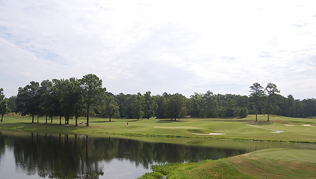 New Homes in Timberline | Calera, AL | D.R. Horton