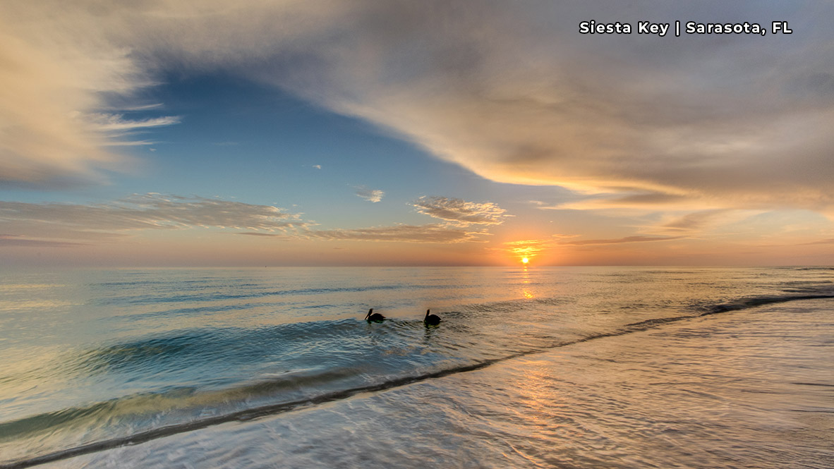 New Homes in Braden Pointe | Bradenton, FL | D.R. Horton