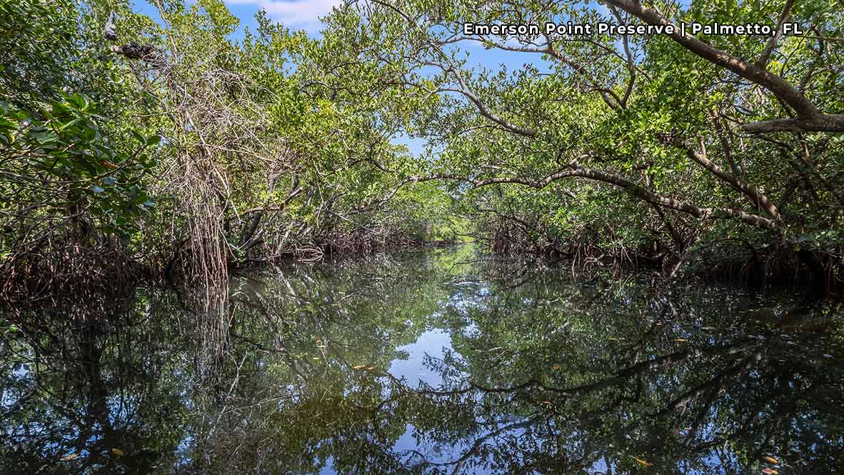 New Homes in Braden Pointe | Bradenton, FL | D.R. Horton
