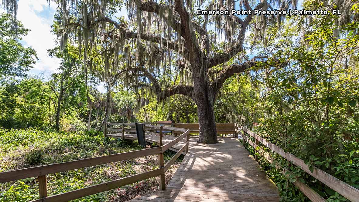 New Homes in Braden Pointe | Bradenton, FL | D.R. Horton