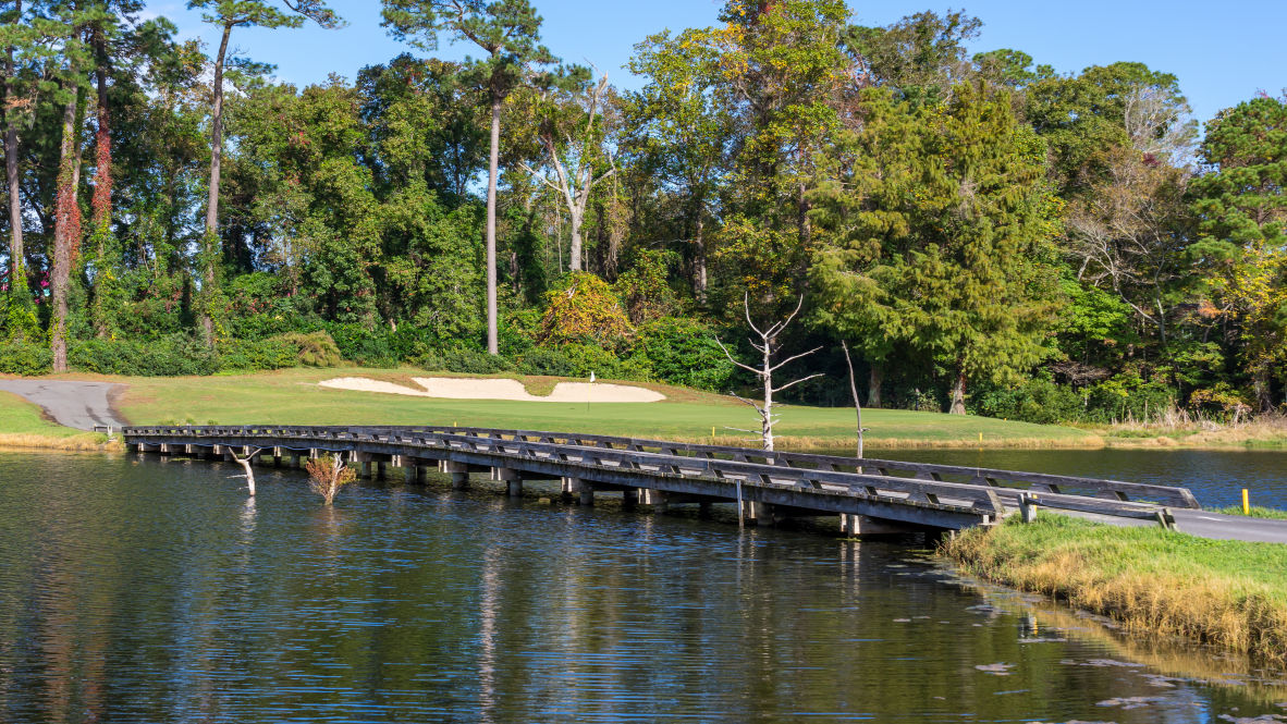 New Homes in Auberon Woods | Conway, SC | D.R. Horton