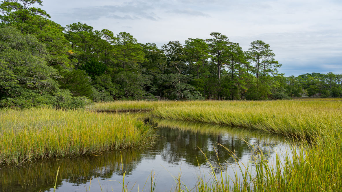 Home For Sale in Sandridge Park | Little River, SC | D.R. Horton