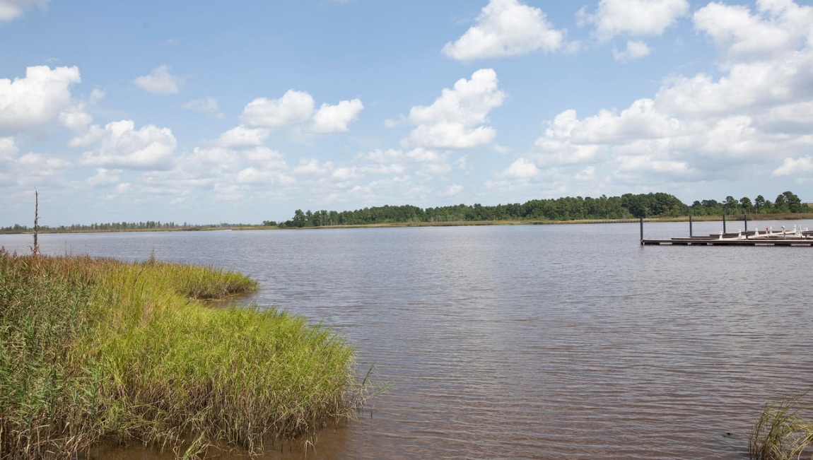 New Homes in Grayson Park | Leland, NC | D.R. Horton