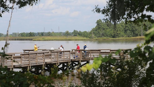 New Homes in Grayson Park | Leland, NC | D.R. Horton