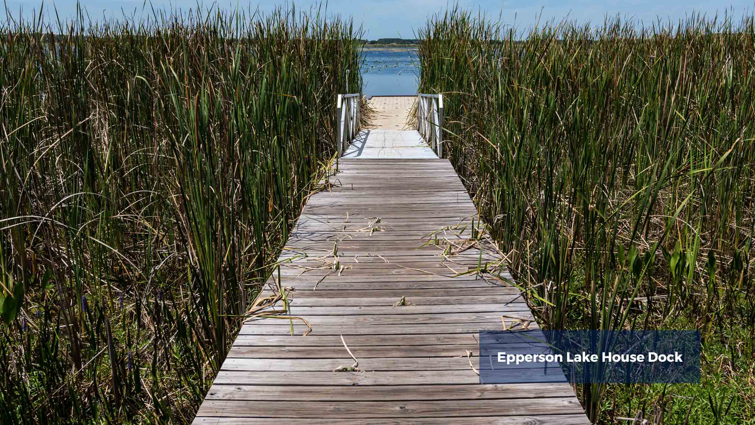 New Homes in Meadow Ridge at Epperson | Wesley Chapel, FL | D.R. Horton