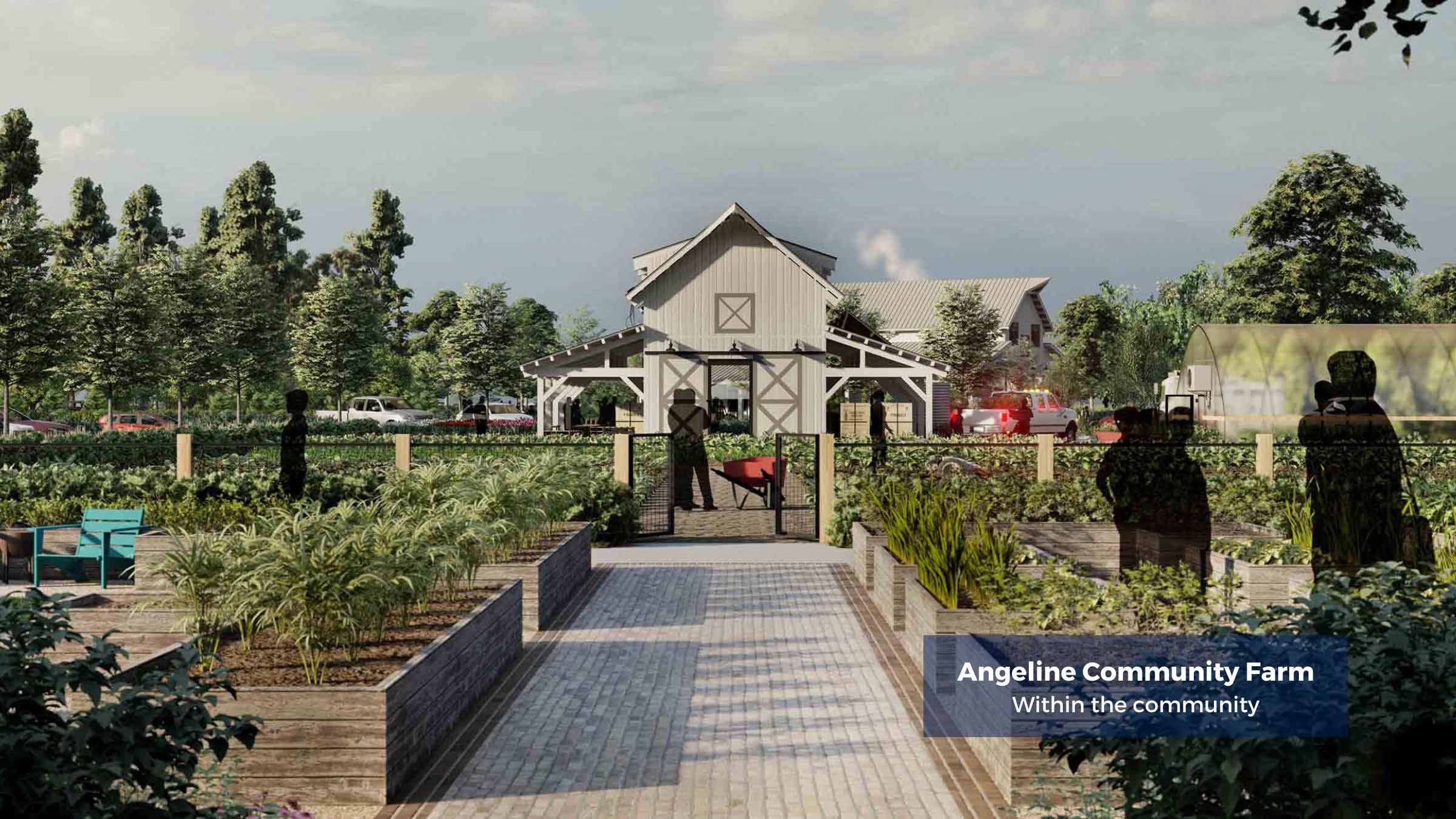 New Homes in Angeline | Land O Lakes, FL | D.R. Horton