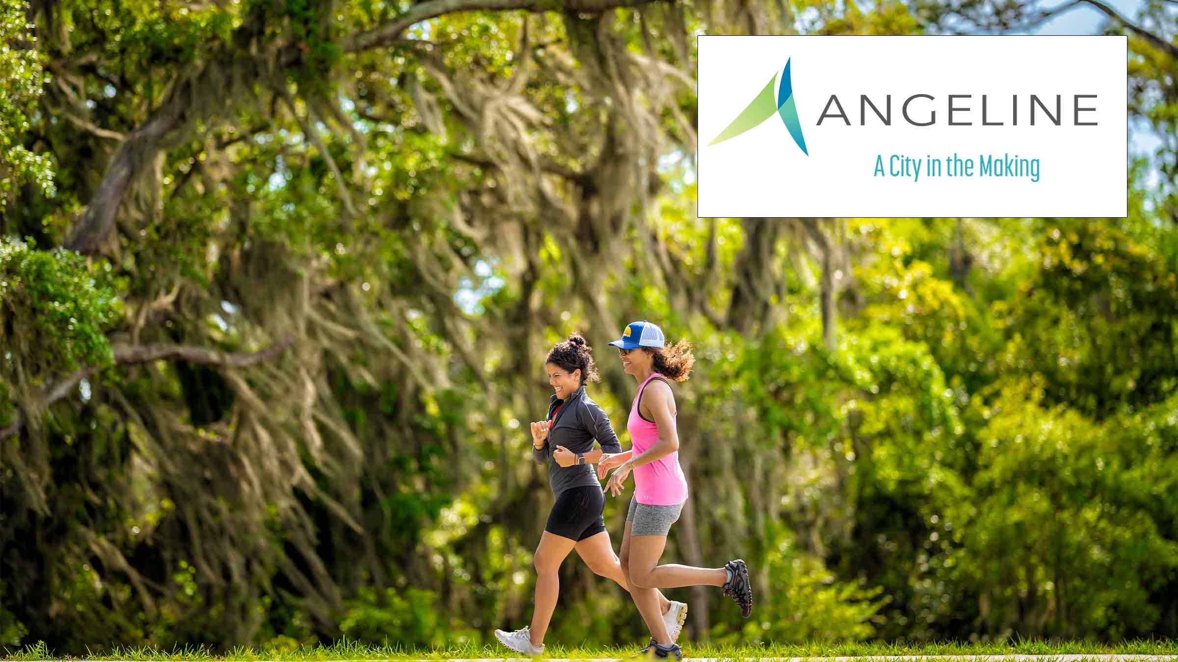 New Homes in Angeline | Land O Lakes, FL | D.R. Horton